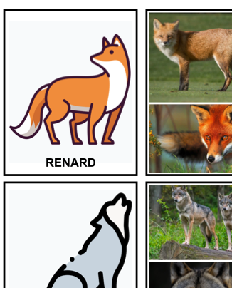 Les animaux de la forêt - albums et ressources