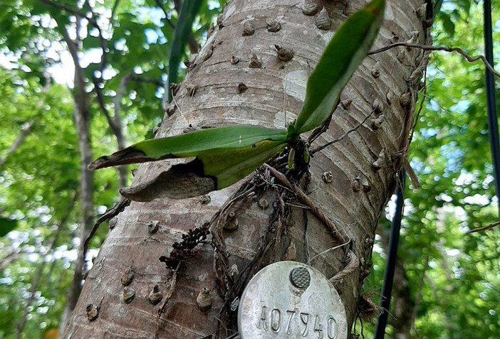 HOME | Pacific Federal Management Guam Construction Landscape Equipment ...