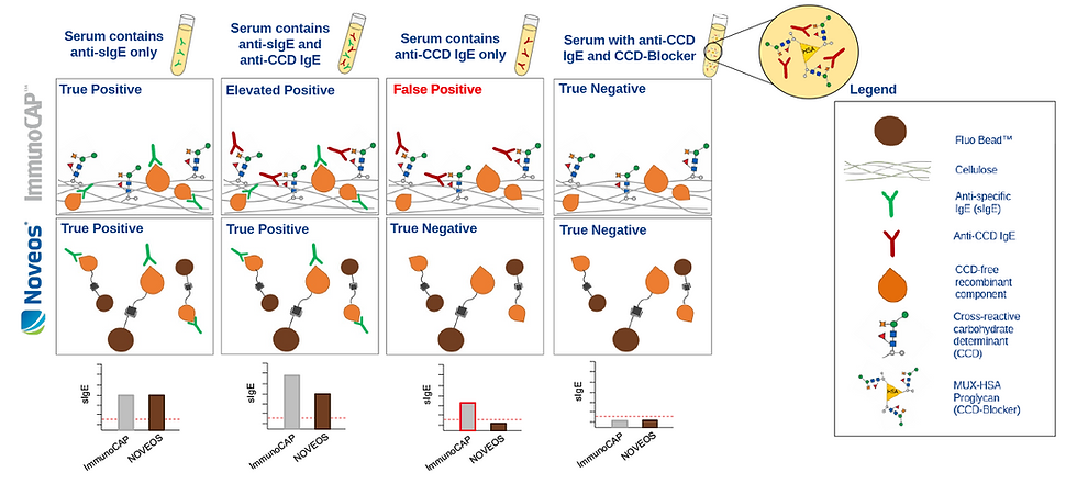 Comparison of cross-reactive carbohydrate determinant reactivity using ...