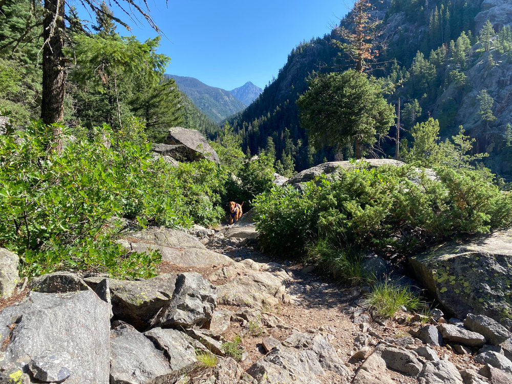Six Fantastic Family-Friendly Hikes near Durango - Wanderlust