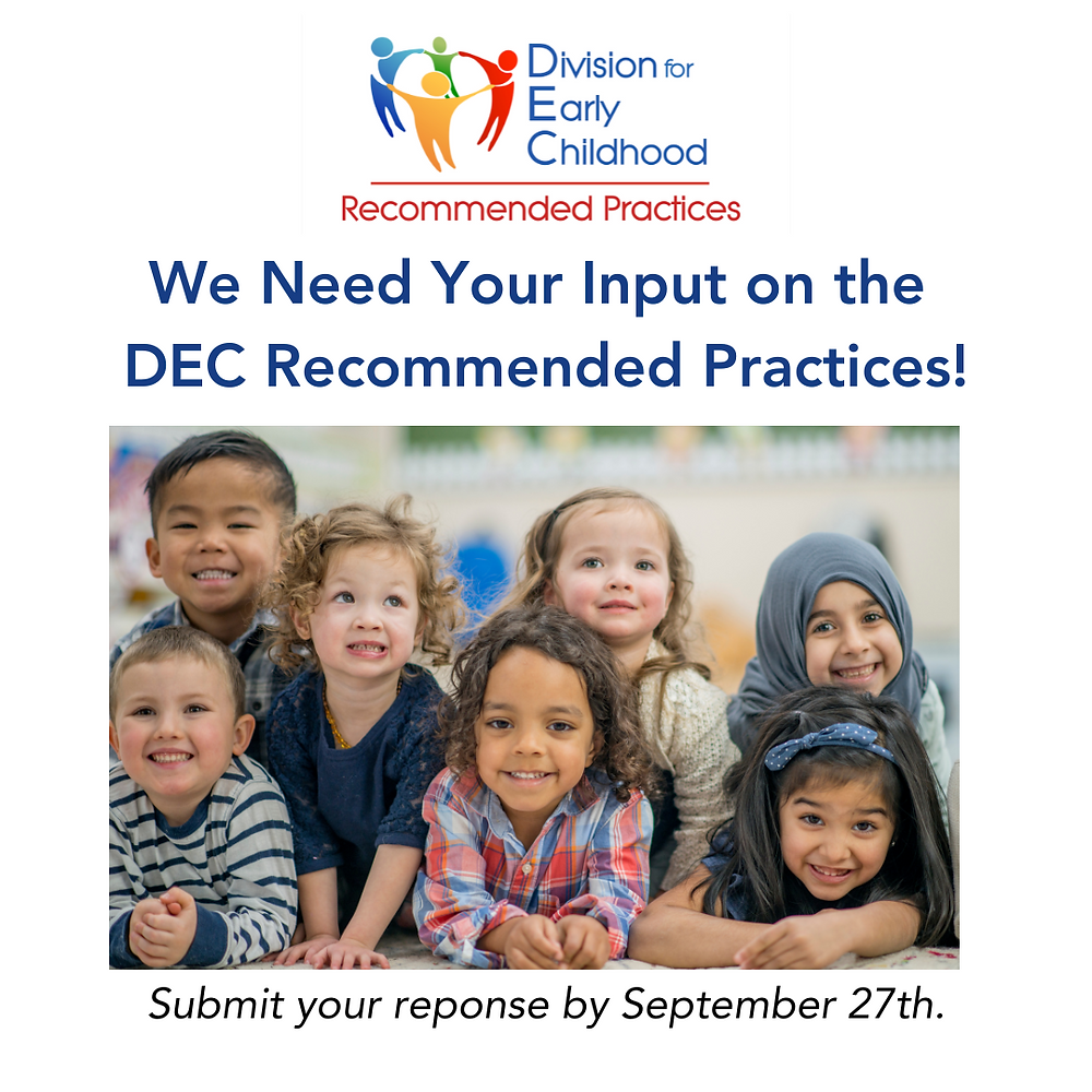 Call for Input: DEC Recommended Practices - Race and Ability