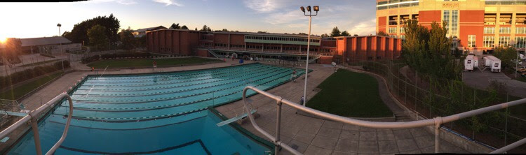 Michigan State Swim Club