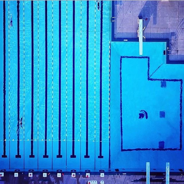 Michigan State Swim Club