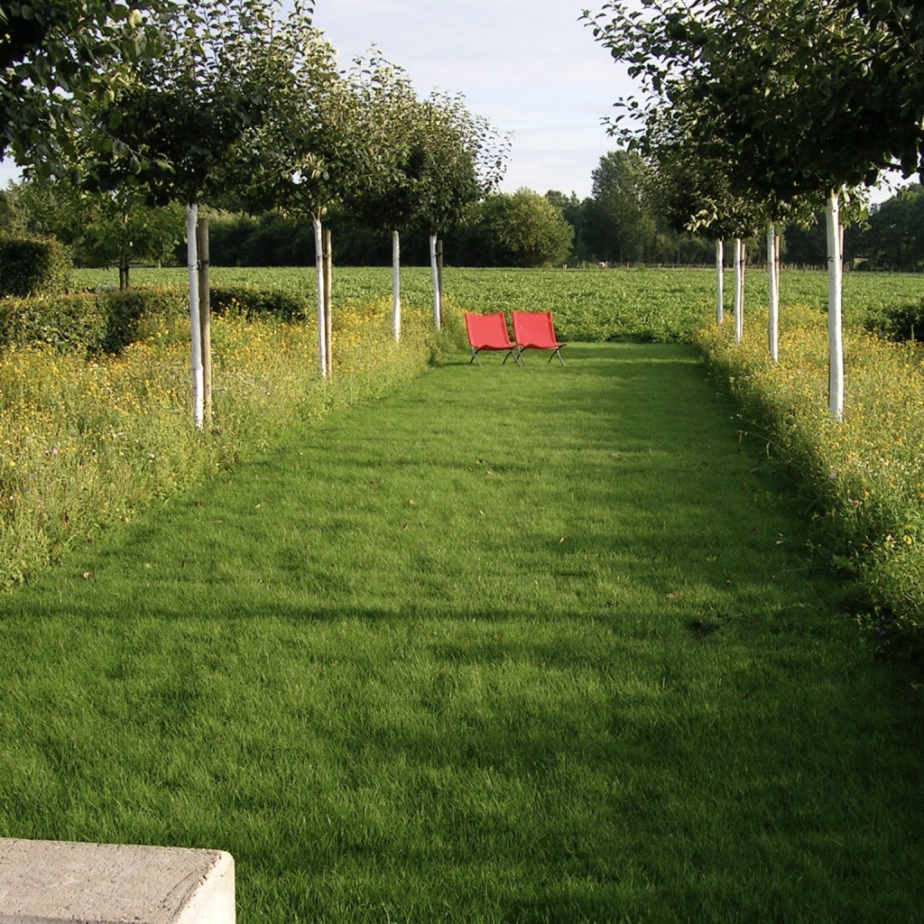 Tuinarchitect Mol, tuinarchitect modern, tuinarchitect klassiek