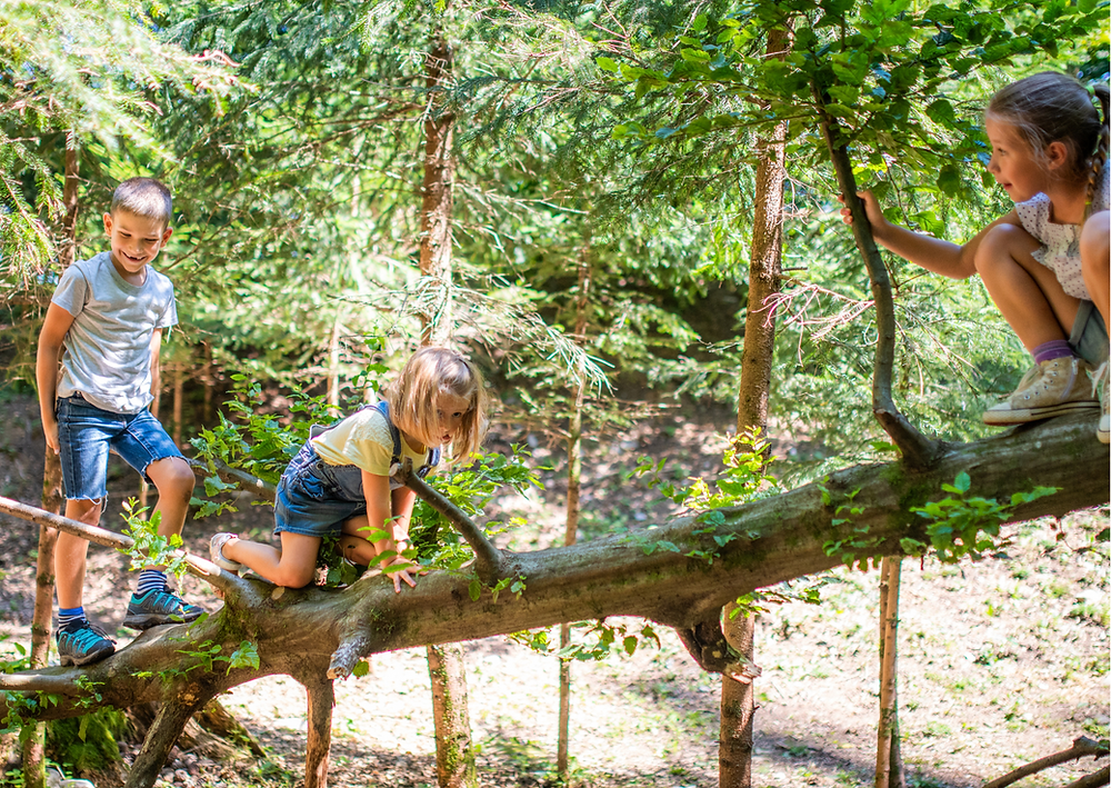 Forest School Explained: Positive Behaviours