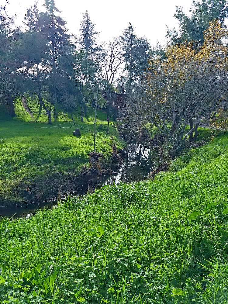 Plein Air Paint Out - Jan. 26, Markham Park