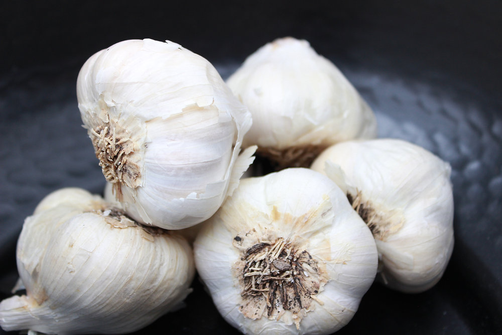 Garlic 101