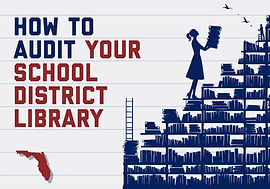 school library audit