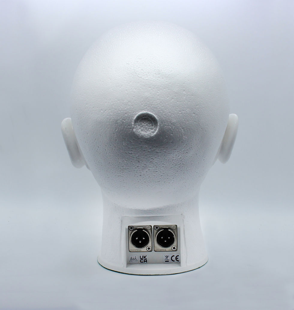 Binaural dummy head DIY kit | ASMR microphones