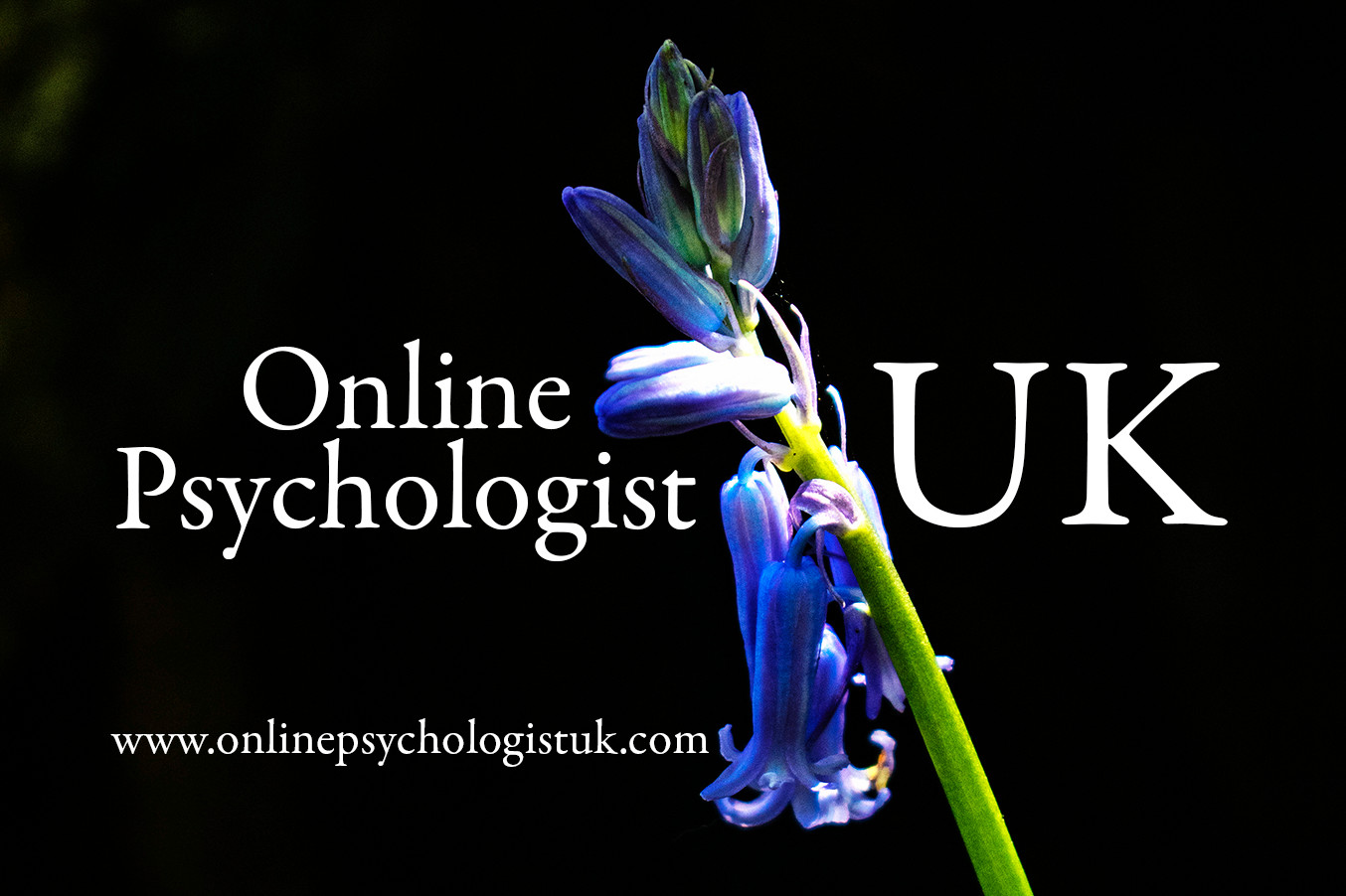 Online Therapy Services | Online Psychologist UK
