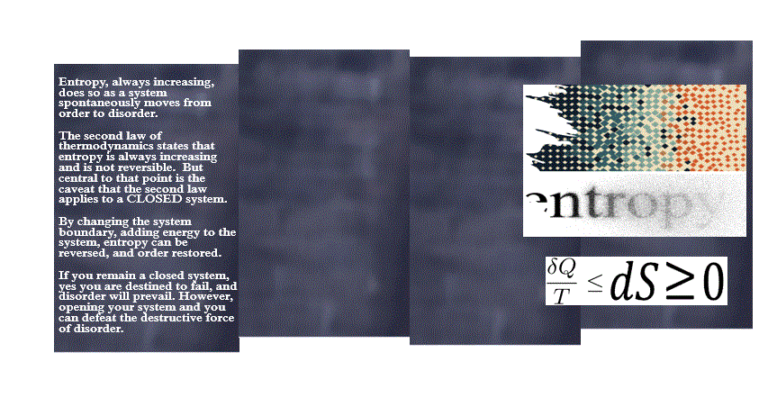 Mental Health | Mind Entropy