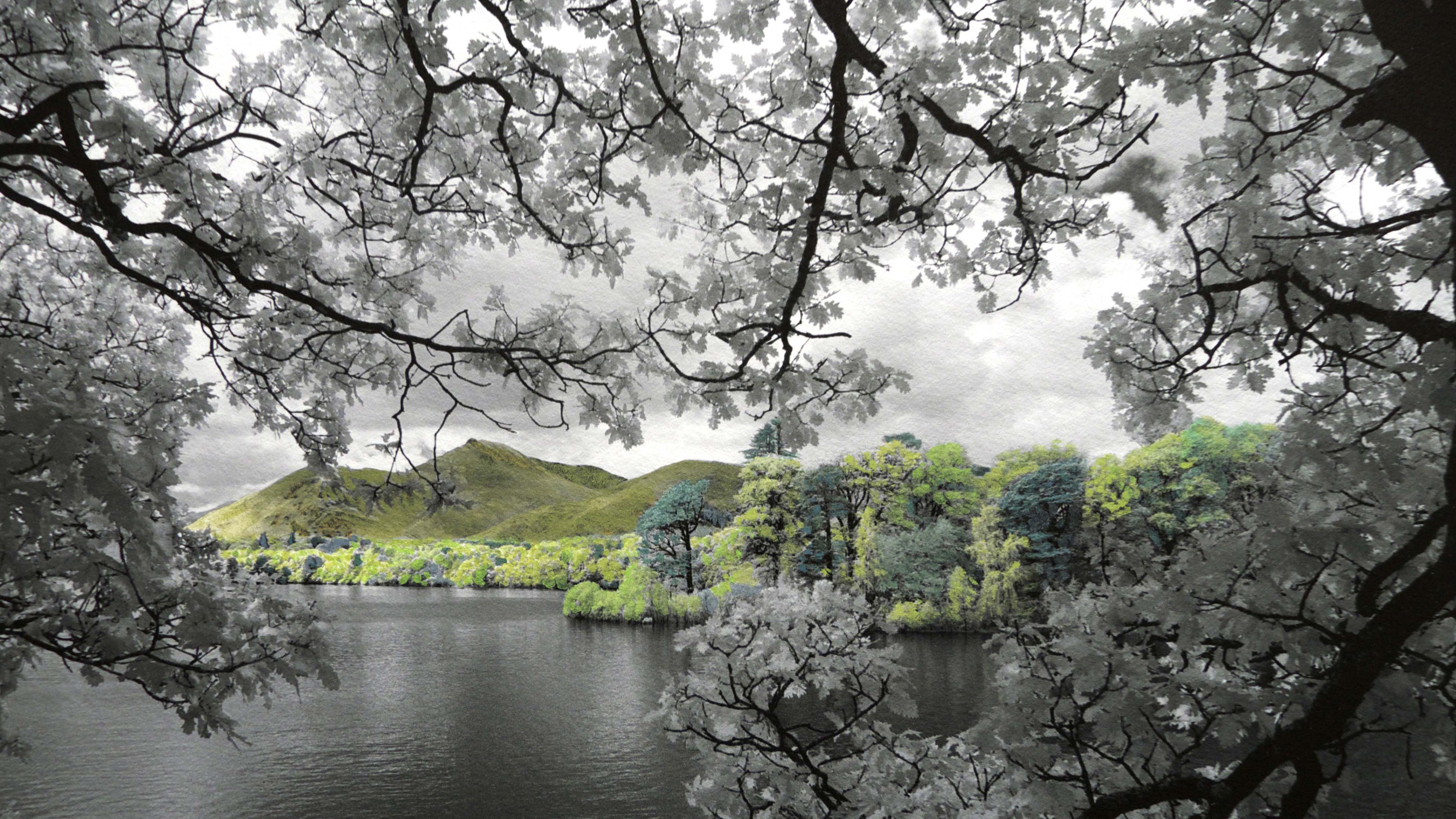 Home | Photography | Janine Kilroe | Fine Art