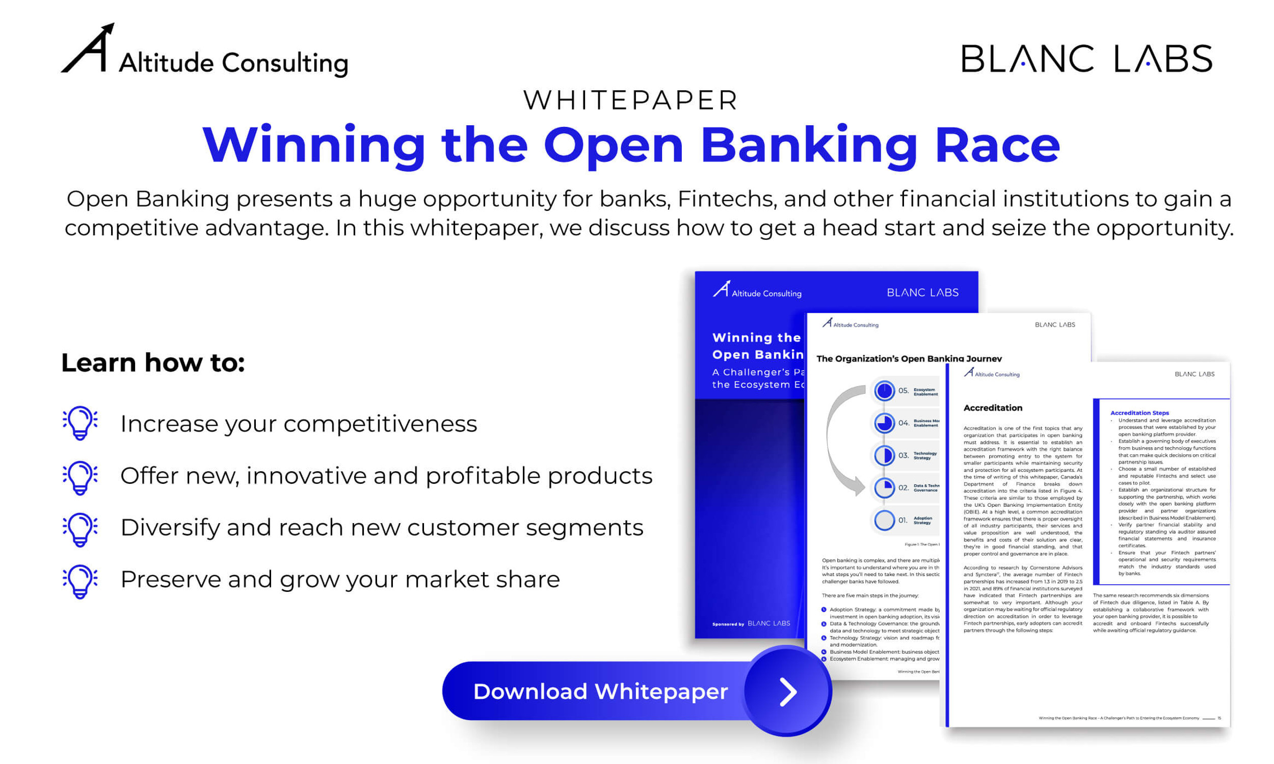 Whitepaper: Winning the Open Banking Race | Open Banking Success ...