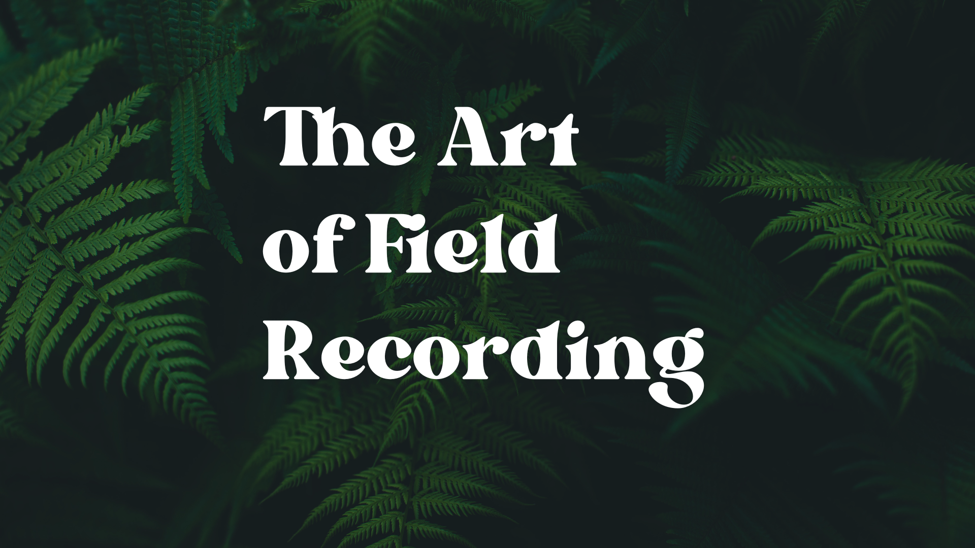 The Art of Field Recording | Girls Twiddling Knobs