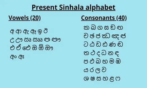 Is Sinhala Hard to Learn? Unveiling the Language Mystery