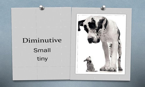 The Delightful World of Diminutives: What Are They?