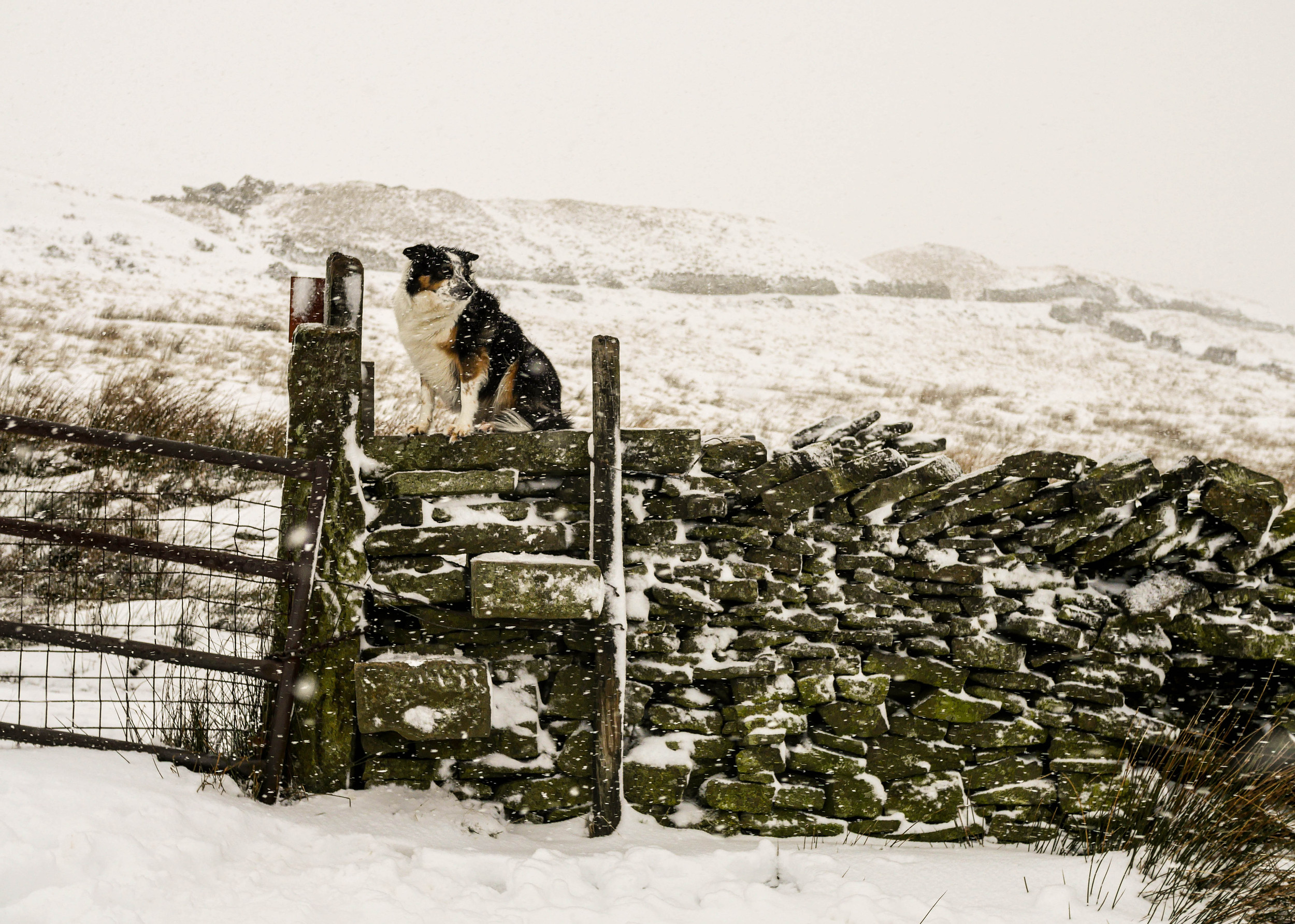 Landscape photographer | Www.catchlifephotography.com | Huddersfield