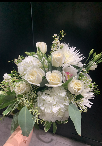 EFHTB-17 | Evolution Flowers