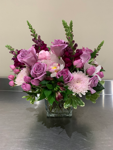 EFMD-15 | Evolution Flowers