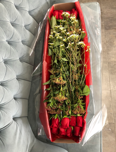 EFV-8 | Evolution Flowers