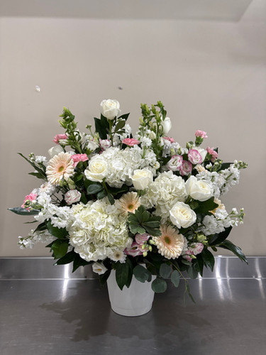 EFFS-91 | Evolution Flowers