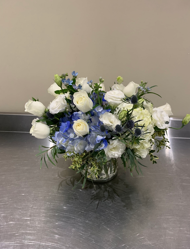 EFNB-2 | Evolution Flowers