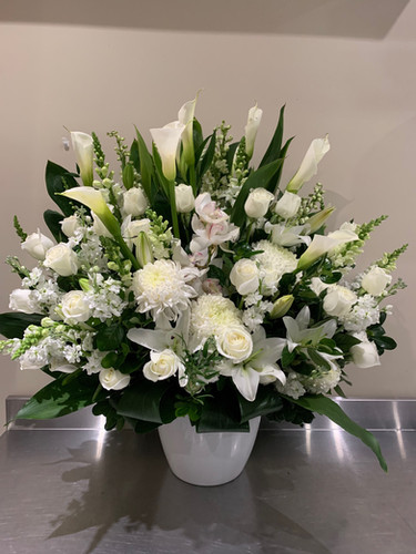 EFFS-1 | Evolution Flowers