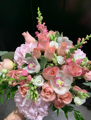 EFHTB-18 | Evolution Flowers