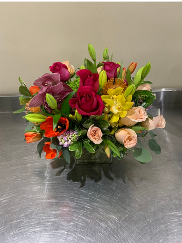 EFV-11 | Evolution Flowers