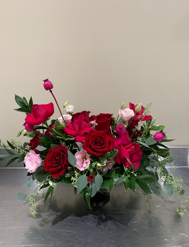 EFA-1 | Evolution Flowers