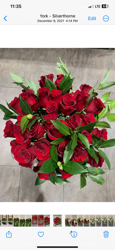 EFV-1 | Evolution Flowers