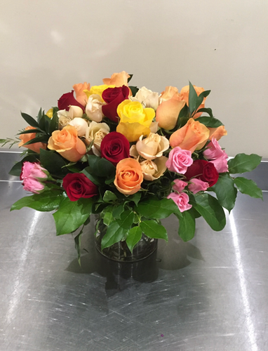 EFR-8 | Evolution Flowers