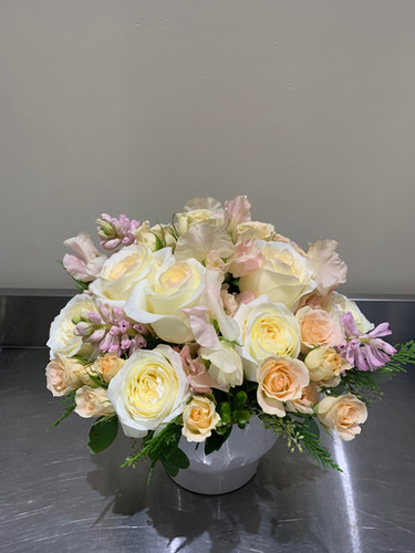 EFMD-9 | Evolution Flowers