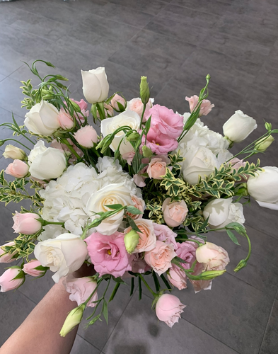 EFHTB-20 | Evolution Flowers