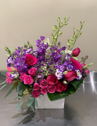 EFB-9 | Evolution Flowers