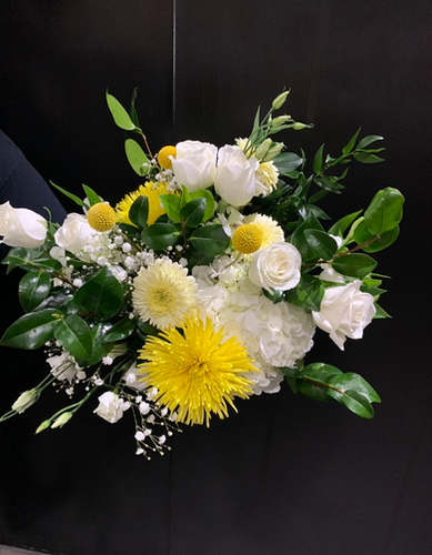 EFHTB-19 | Evolution Flowers