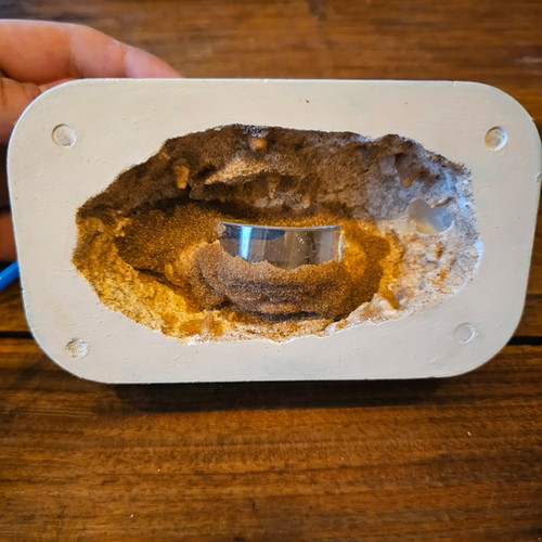 Honeypot plaster nest - Small | Antglobe