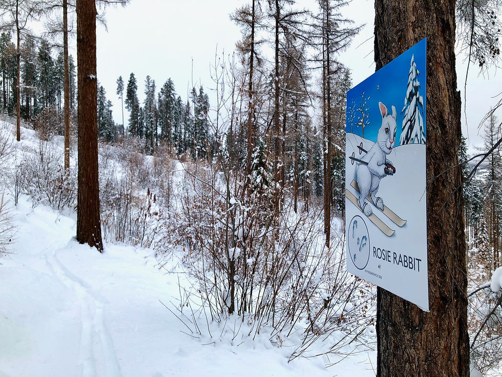 Kimberley Nordic Club | Maps