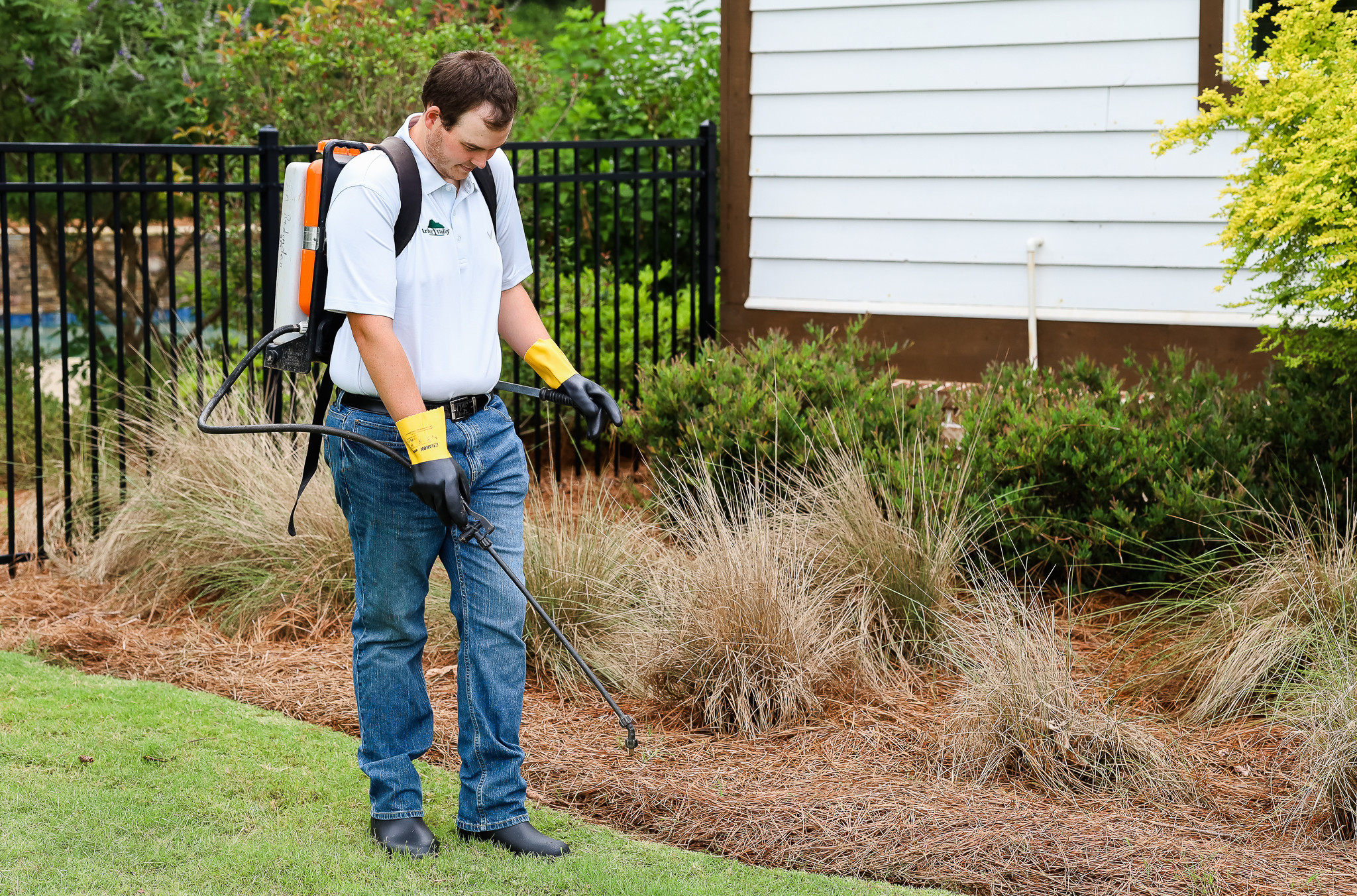 Weed Control & Fertilization