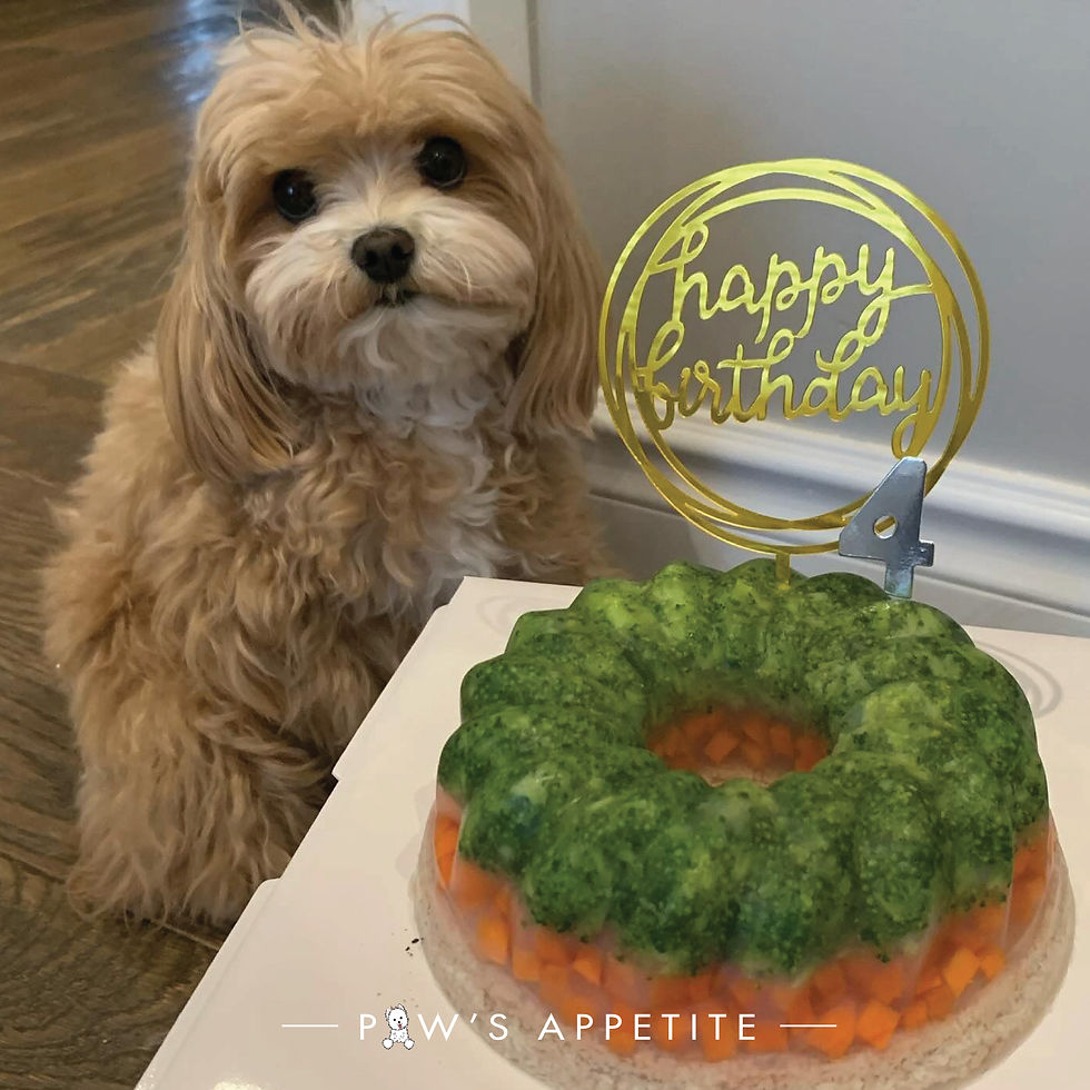 Dog Birthday Cake Paw s Appetite Toronto dog-birthday-cake-paw-s-appetite-toronto