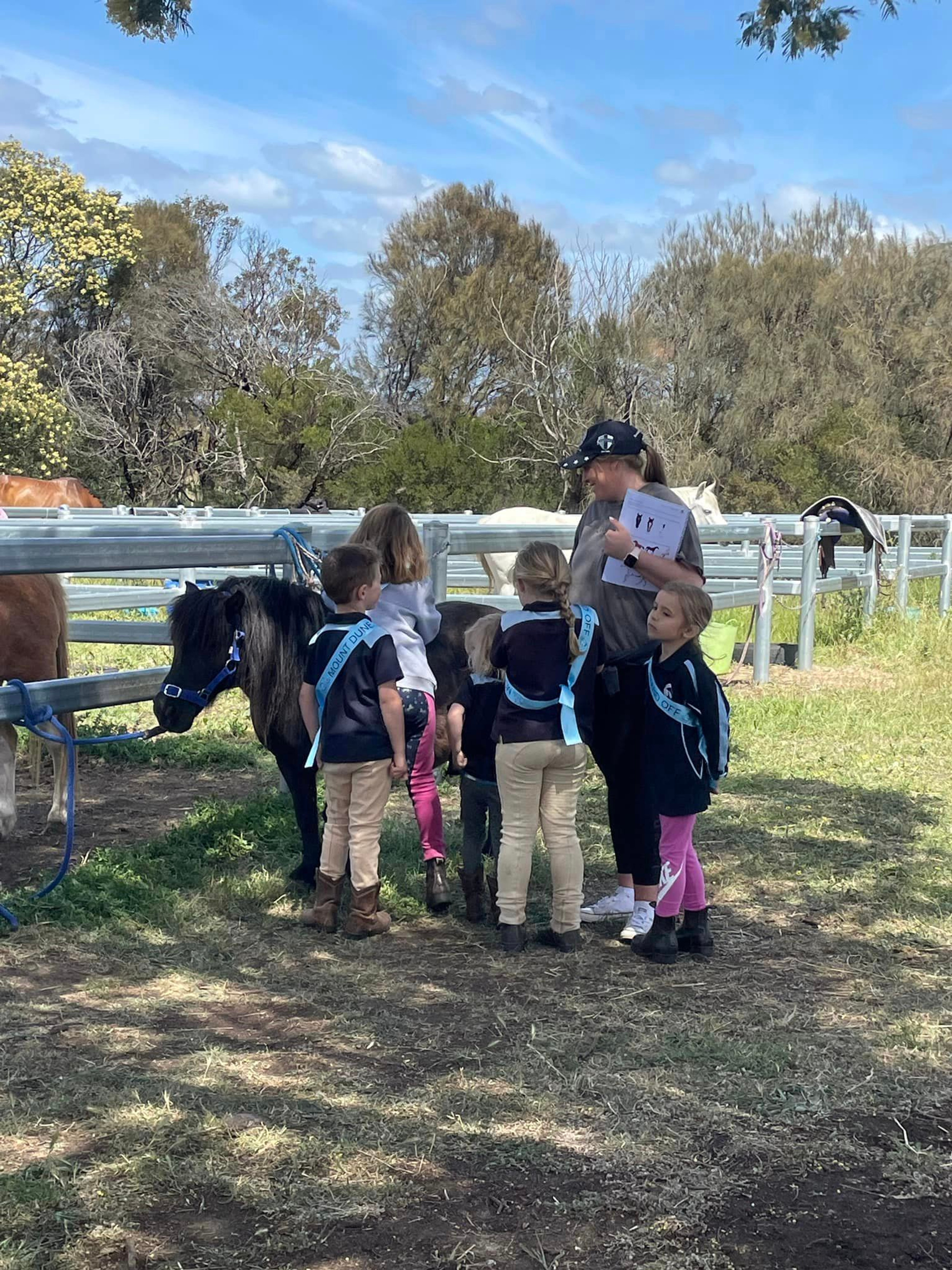 MEMBERS AREA | Mt Duneed Pony Club