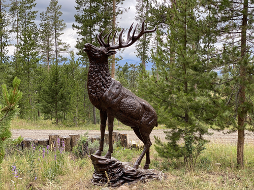 Elk on Rock Facing Forward | Pablo's Wildthings