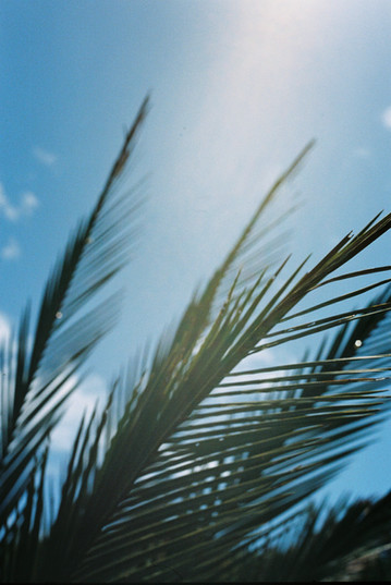 Portfolio | Jesse Tallis