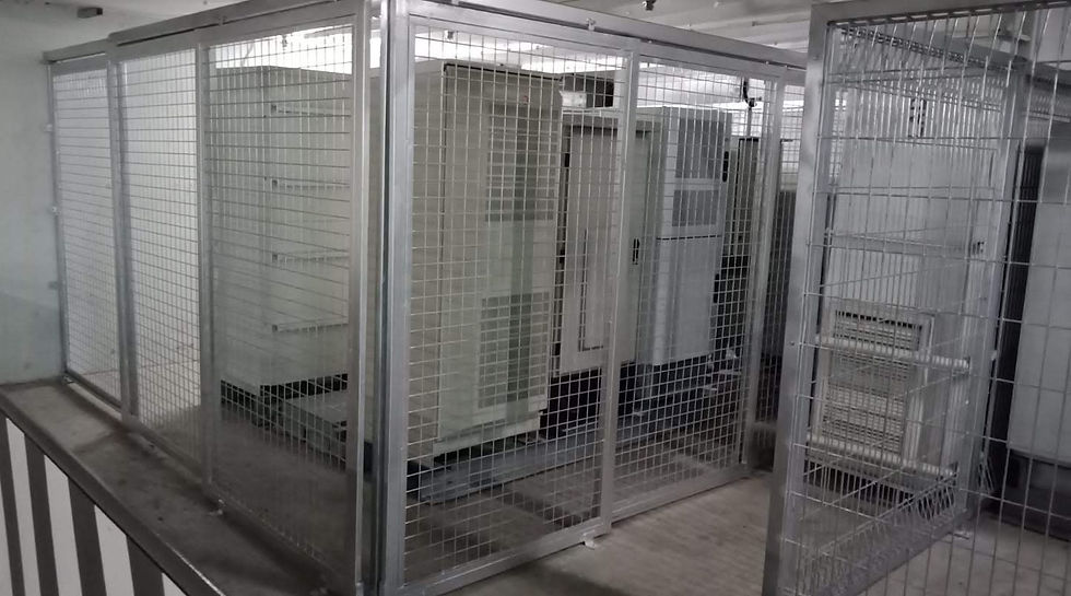 Fencing | Singapore | Liangjie