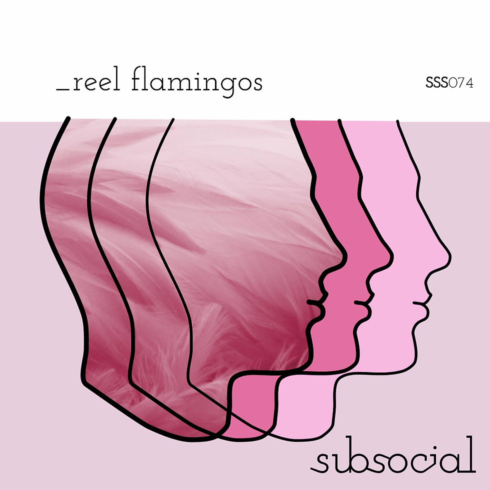  reel Flamingos Subsocial Studios