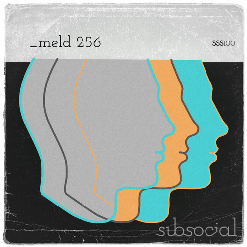 _meld 256 | Subsocial Studios
