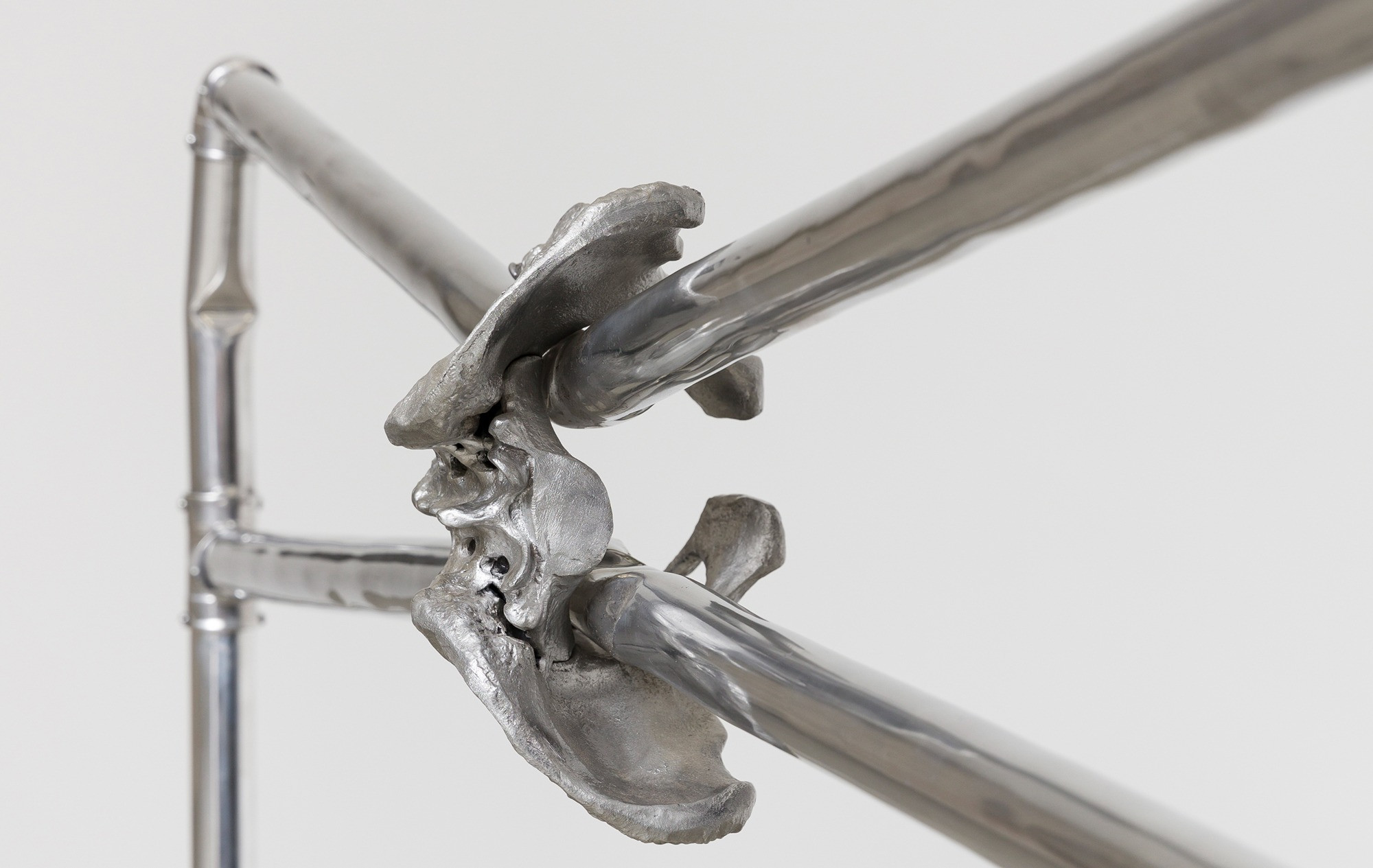 A dança do corpo sem cabeça | Dora Smék