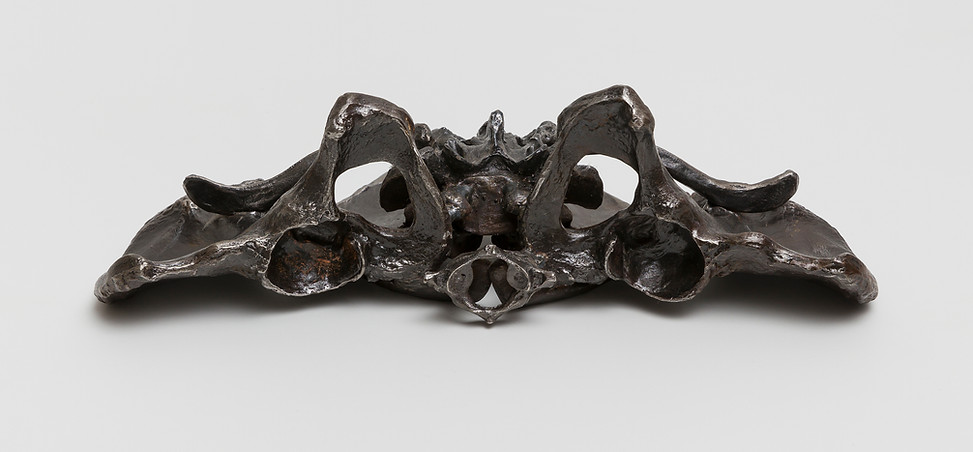 Simétricos Psicofísicos | Dora Smék