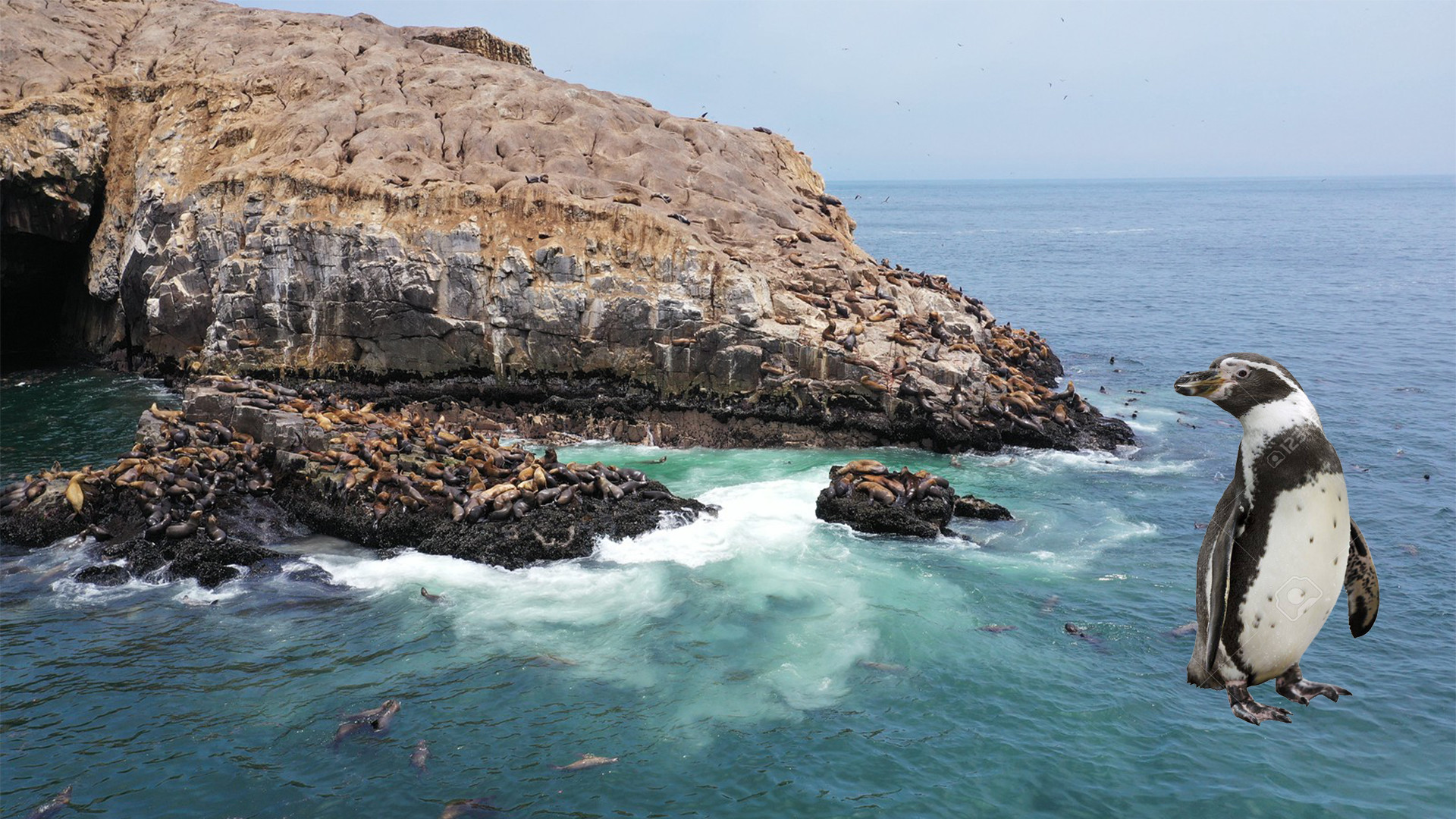 Islas del Callao obtienen un gran premio internacional, orgullo del Perú