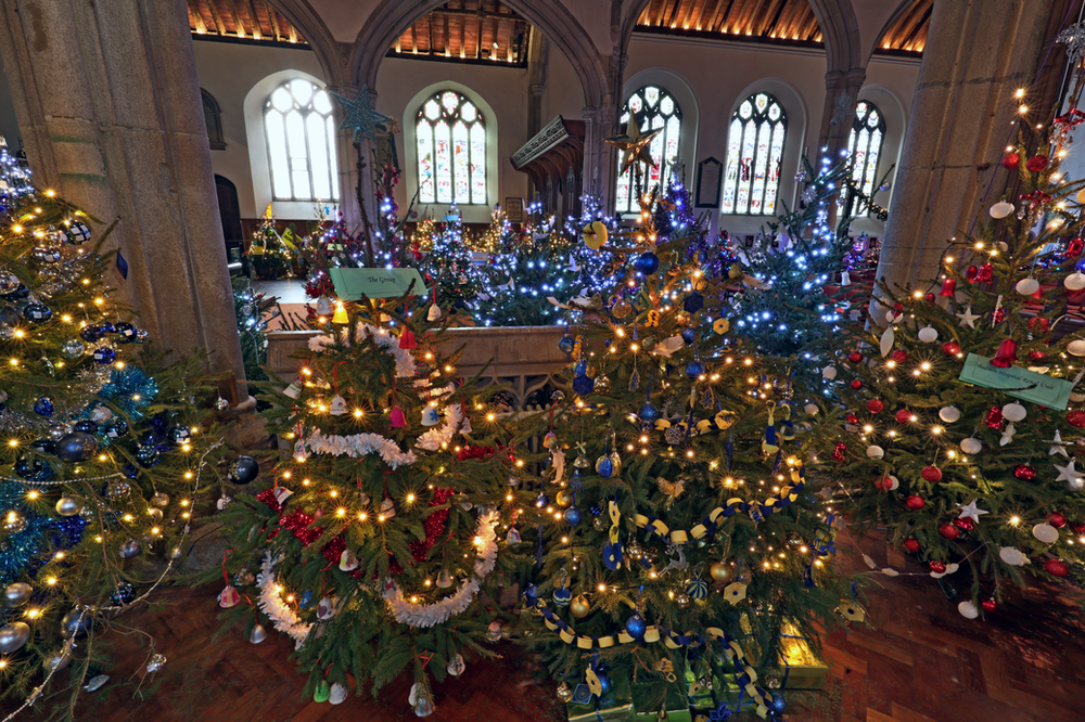 Photographs of the Christmas Tree Festival December 2019